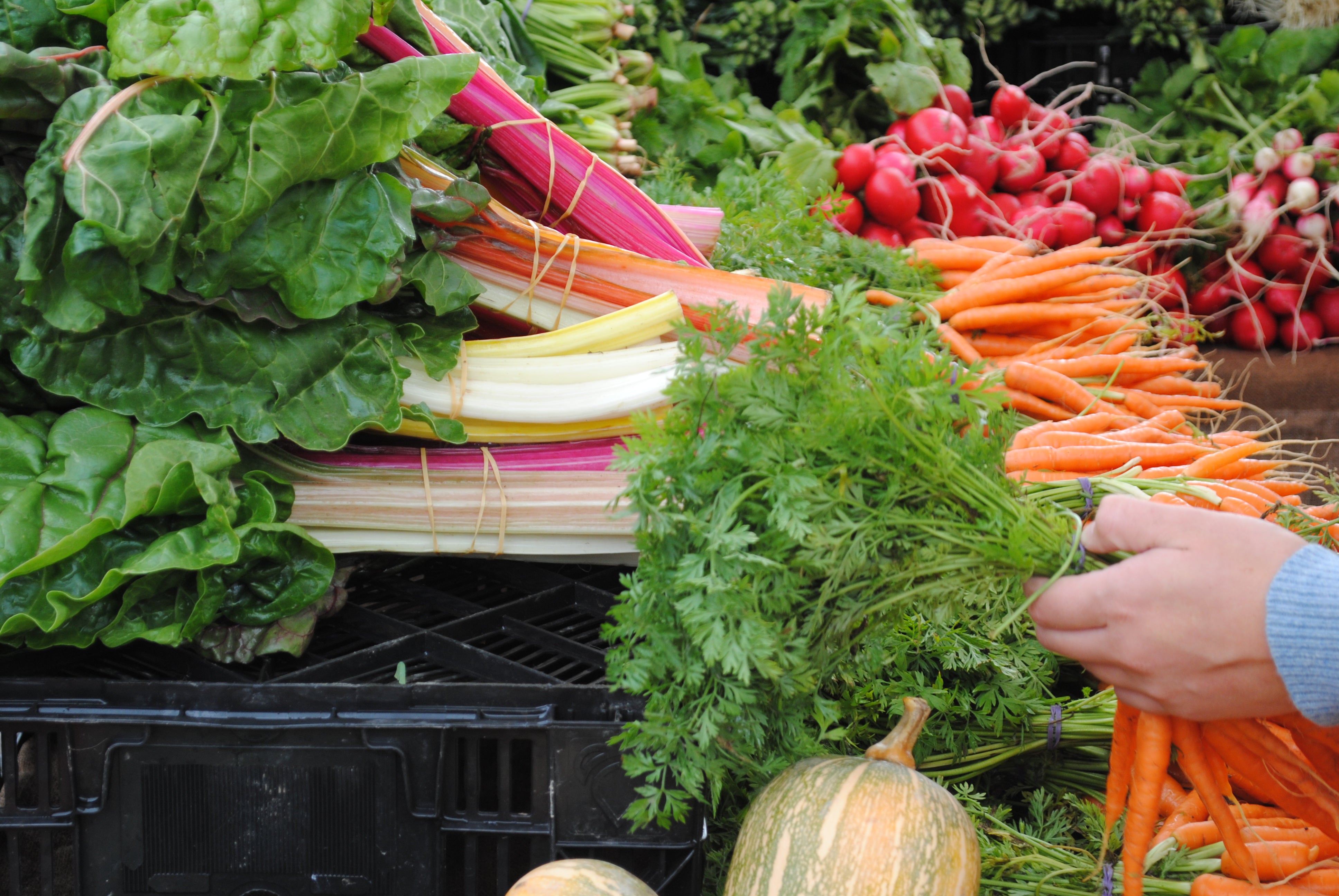 It's Lean Season – Melbourne Farmers Markets